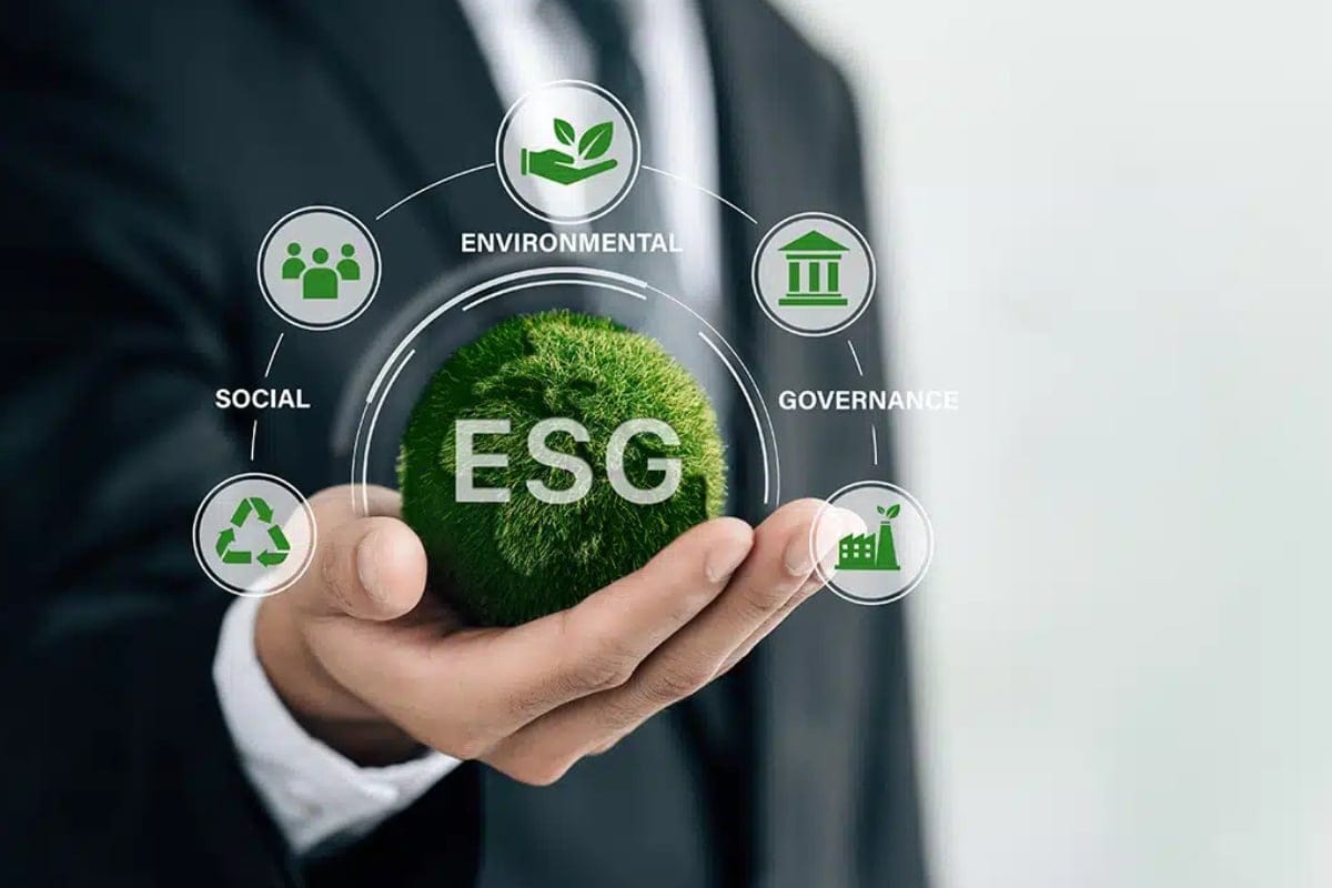 How To Create The Perfect ESG Report | Best Practices